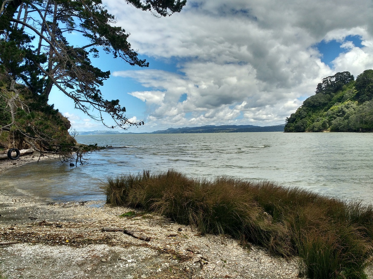 Inside Middle Earth: Wattle Bay » Helen Lowe