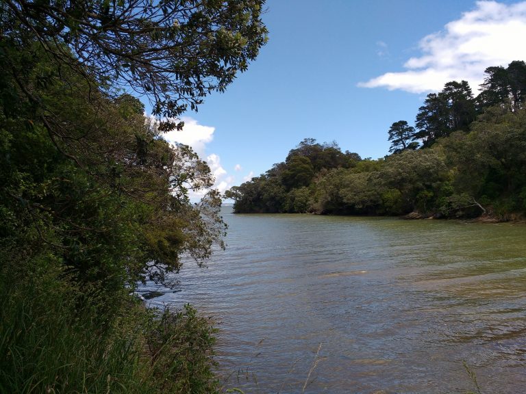 Inside Middle Earth: Wattle Bay » Helen Lowe